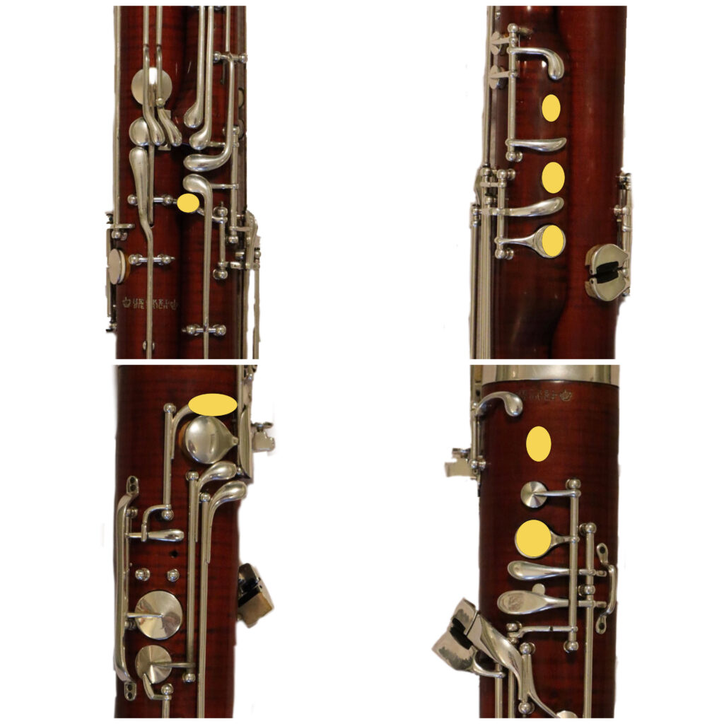 How to Play Beginning Bassoon Notes & Fingerings (Great for Band Class ...